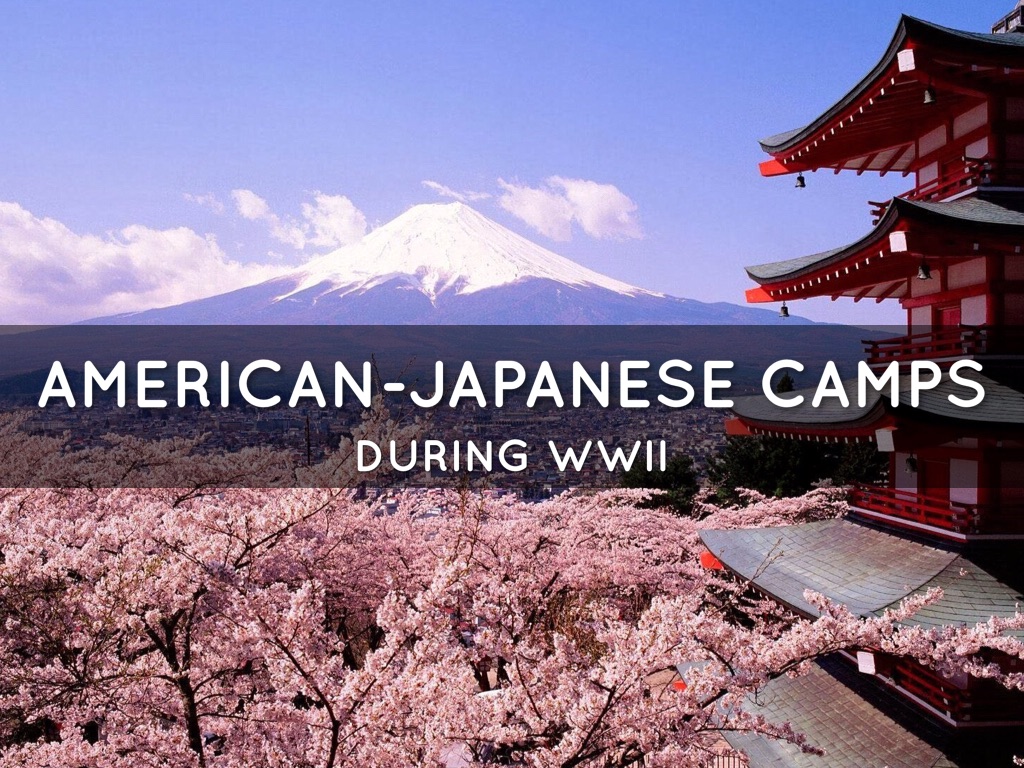 American-Japanese Camps by Nikky Galassi