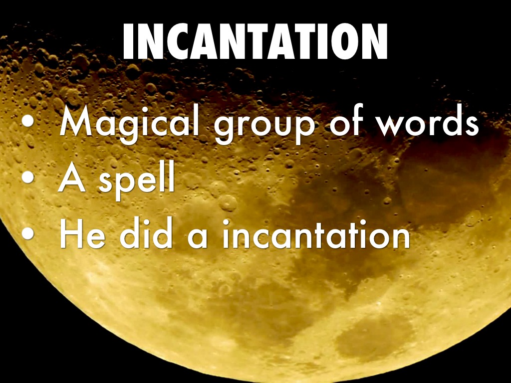 Vocabulary by Trin Cat