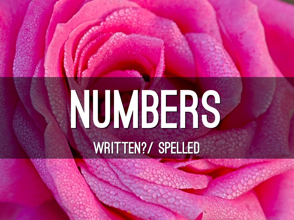 Numbers By Brandy Almeida Numbers By Brandy Almeida