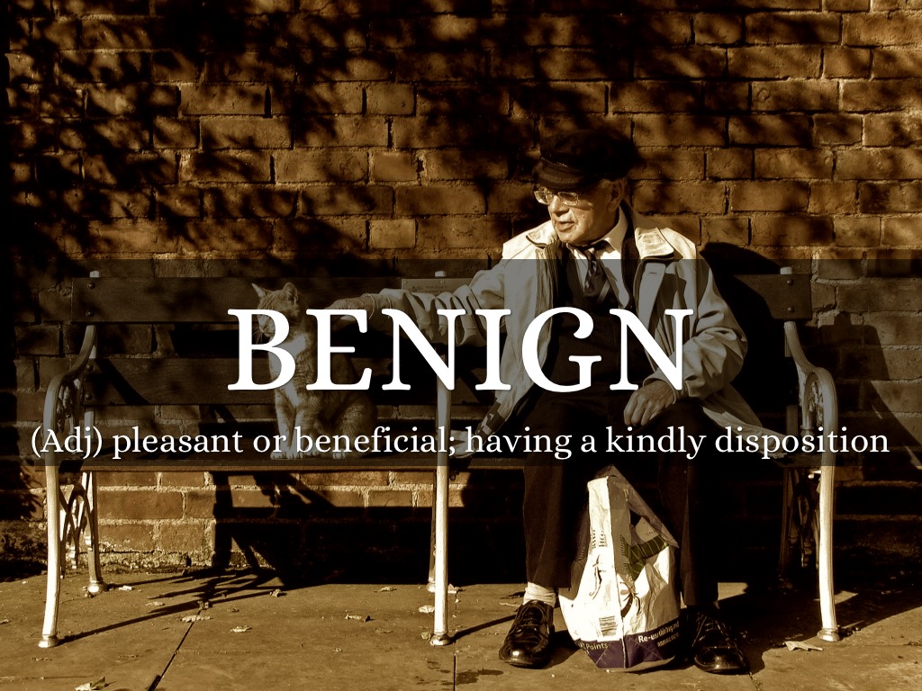 Quarter 1 Vocab. by Alex W