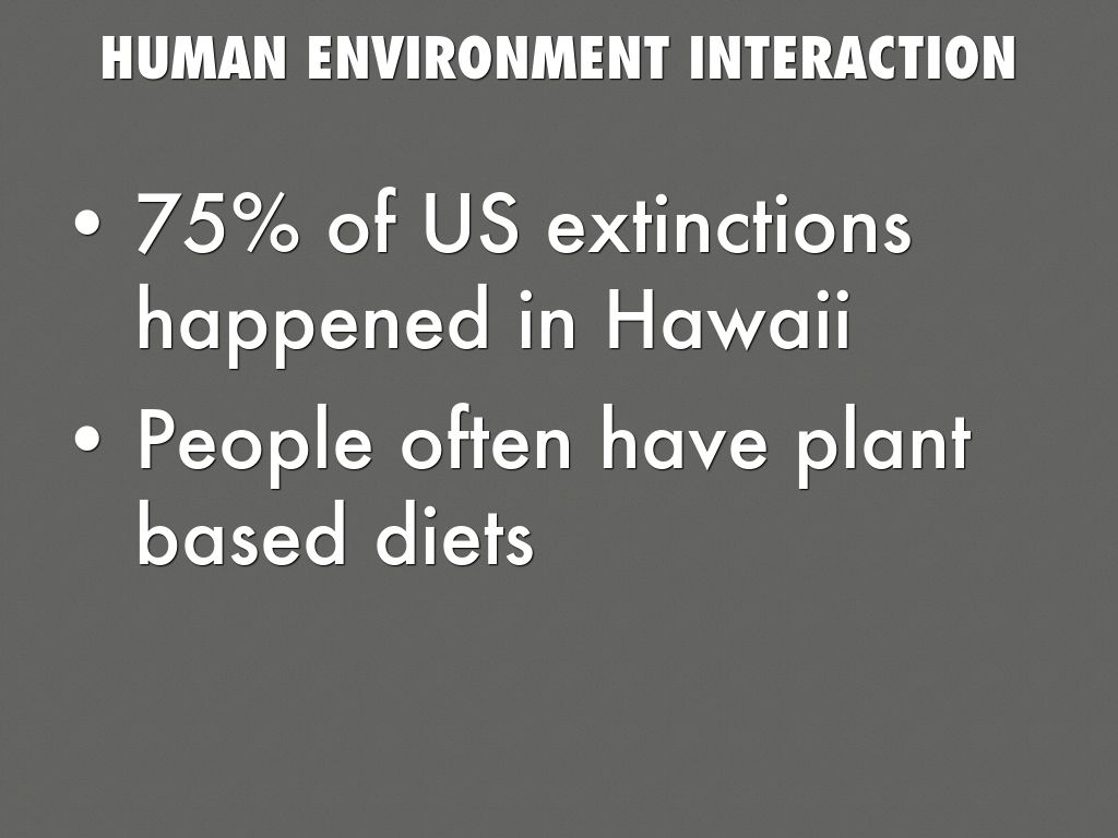 Hawaii by Adam Fischer