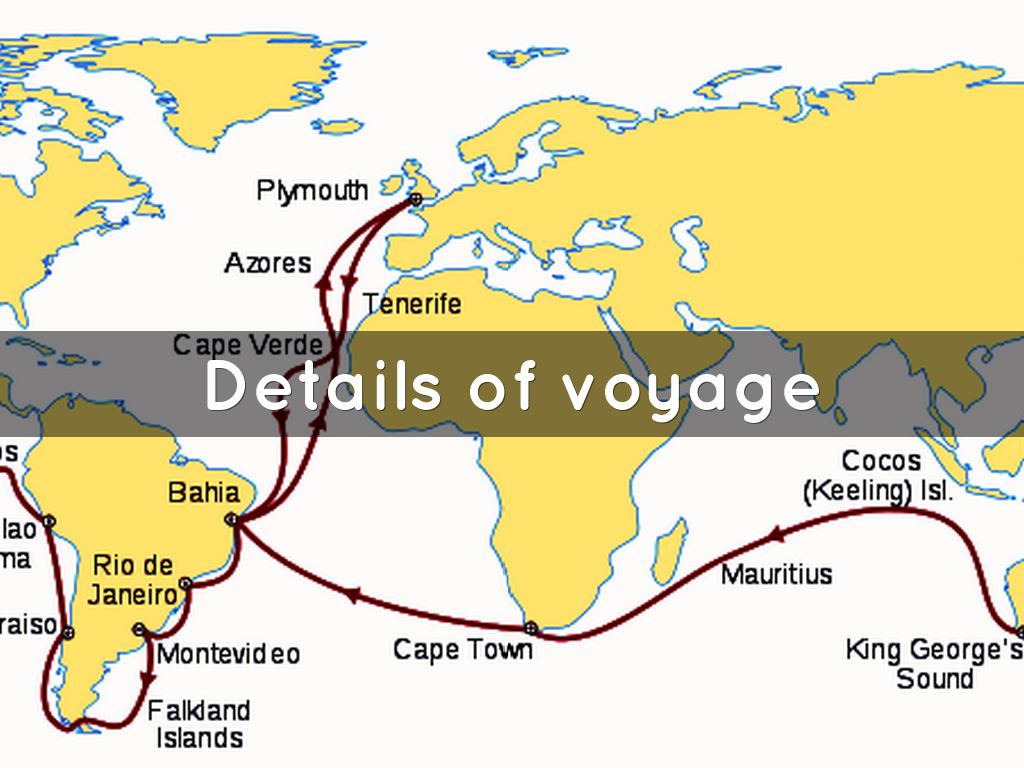 EVOLUTION by jgbanks1217