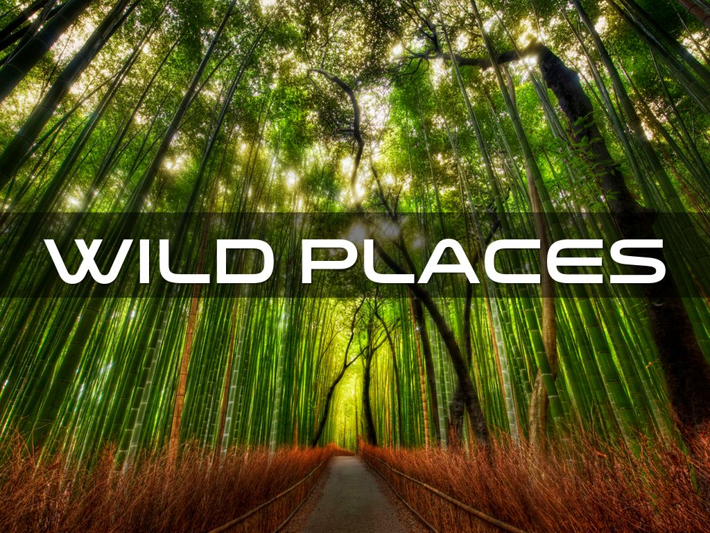 U8 - RDLFuente (wild Places And Animals) by Ruth De La