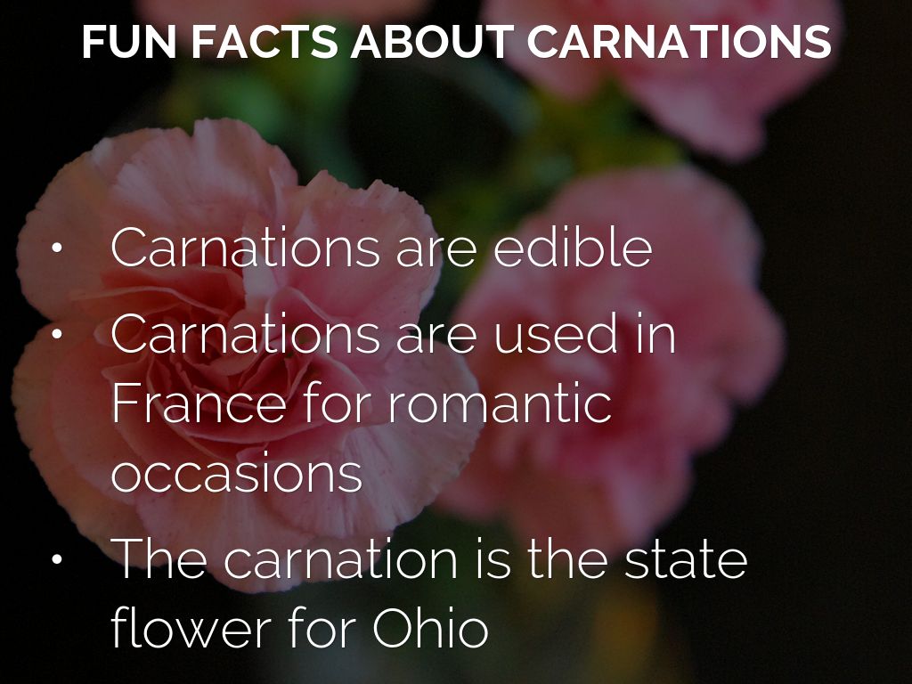 Floral Design Haiku by Keasha Beatty