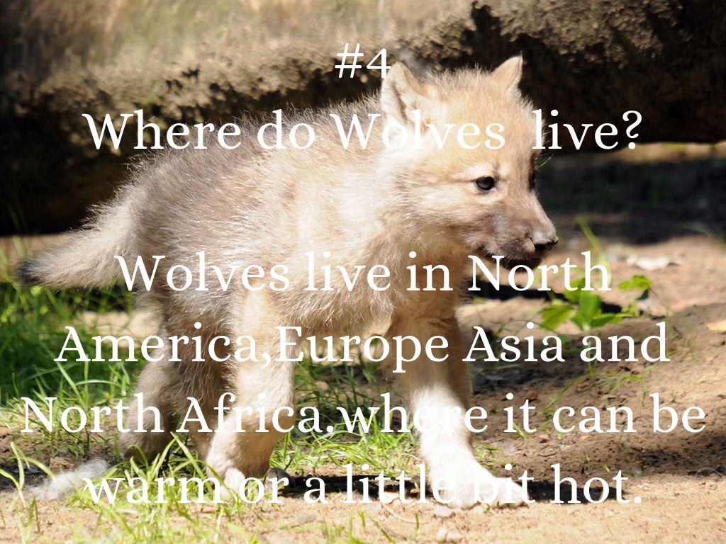 List Article by Sofia P