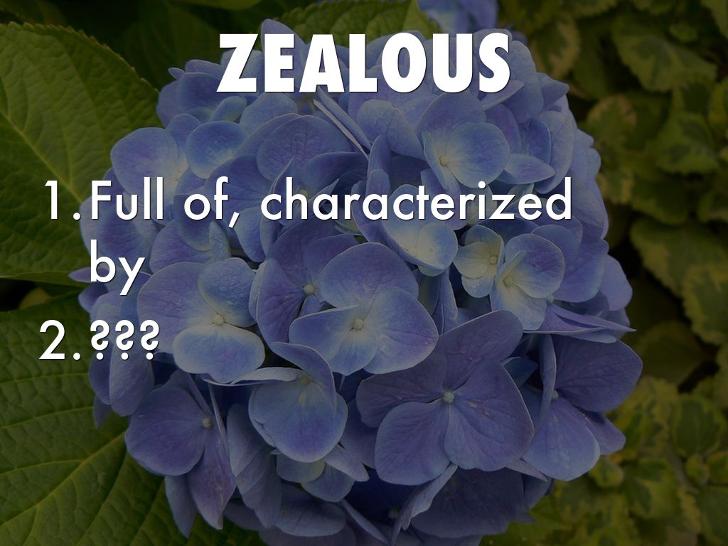 Vocabulary Project by Cyler Burch