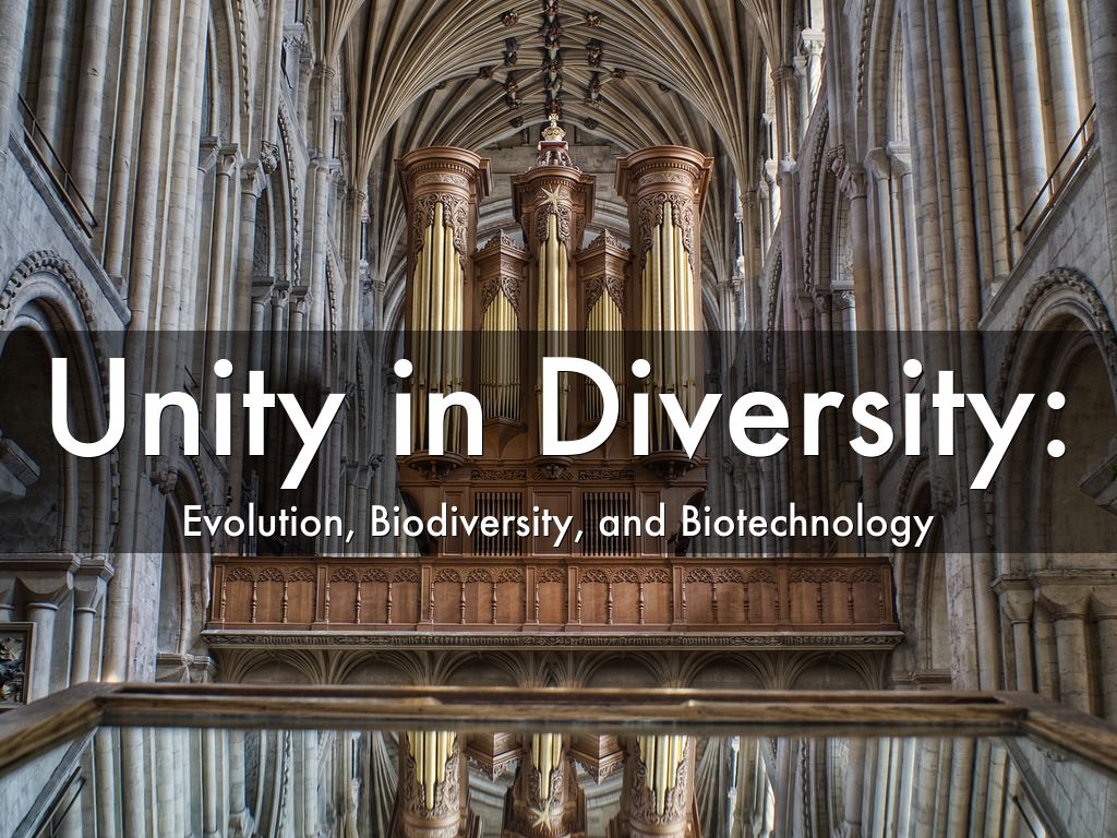 Unity in Diversity: by madrilejos.brad