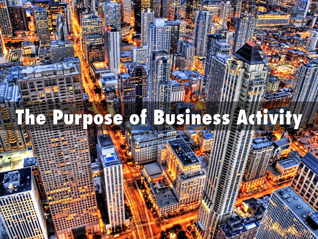 The Purpose of Business Activity by Maree Spraggon