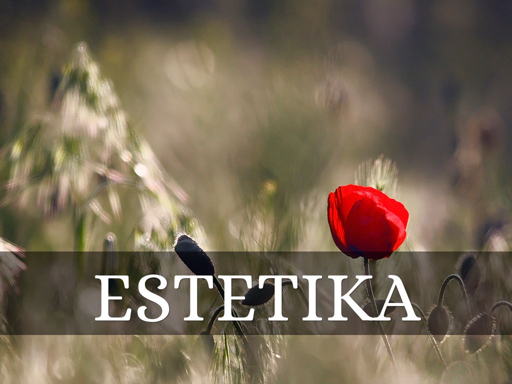 PENGANTAR DASAR ILMU ESTETIKA