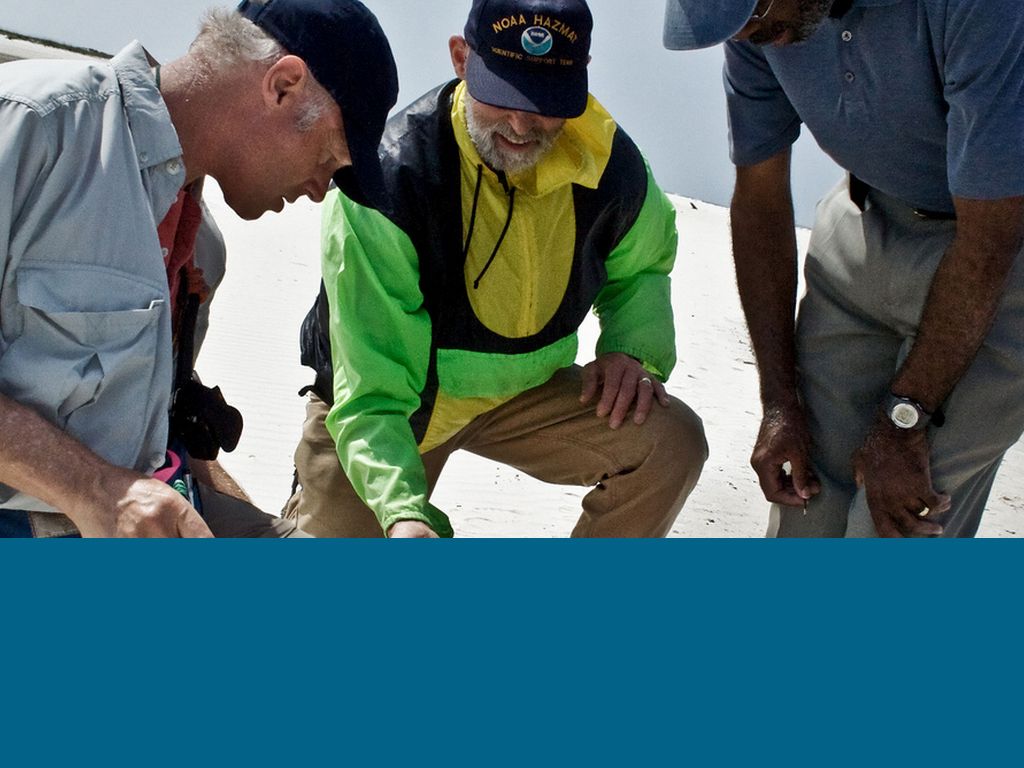 Copy of Job Interview by Daryl Pellizzer