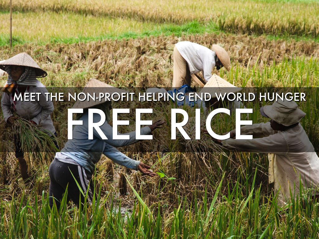 Meet the Free Rice Non-Profit Website by Jason Kesse