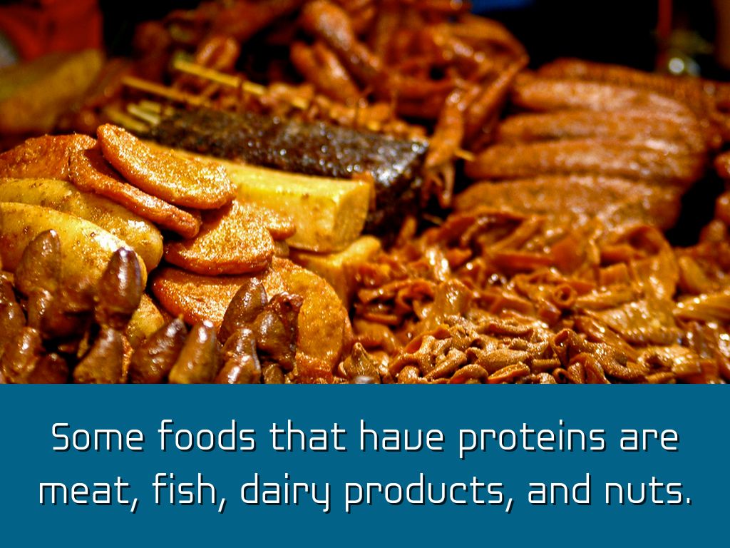 6 Types Of Nutrients by Rachel Shamblott