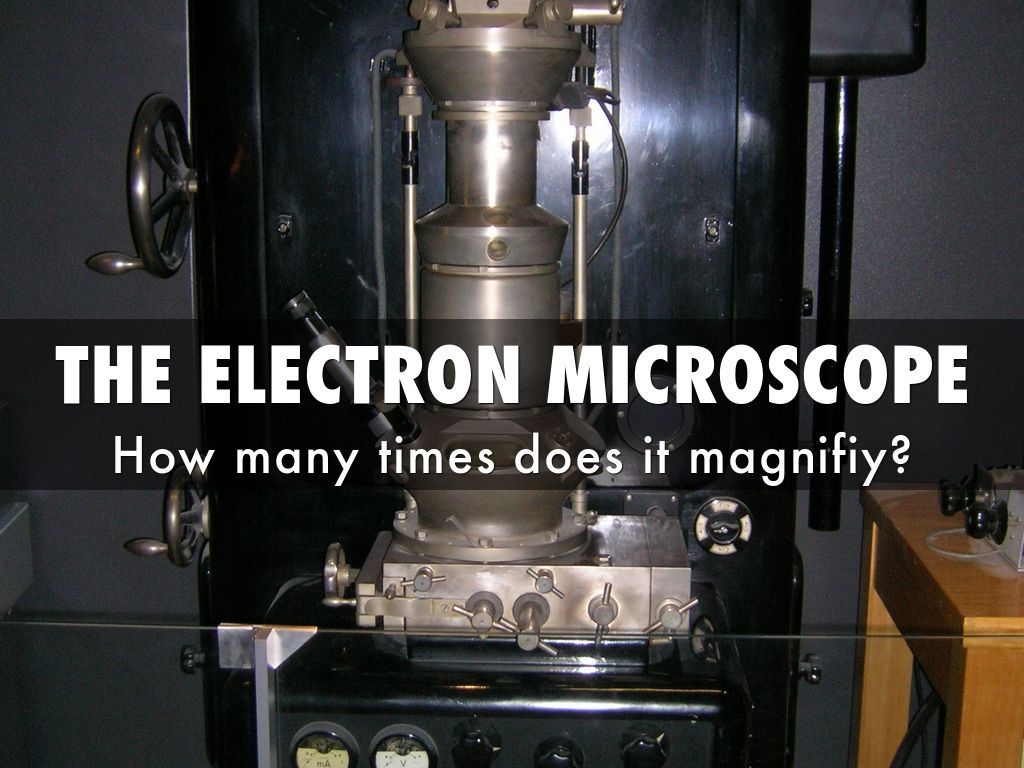 THE ELECTRON MICROSCOPE by mrowling2012