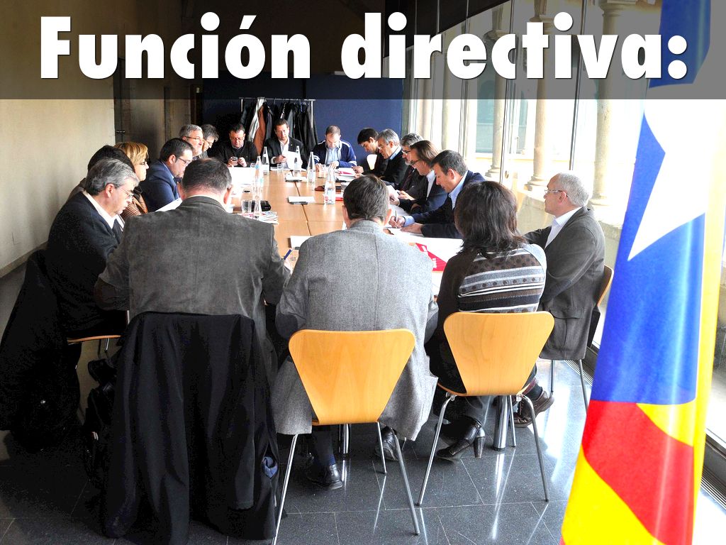 Función directiva