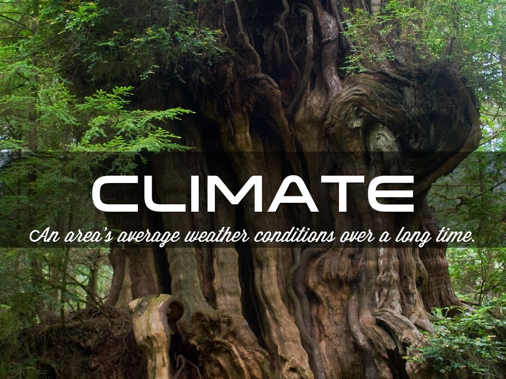 SOPHIA CORONA by Sophia Corona