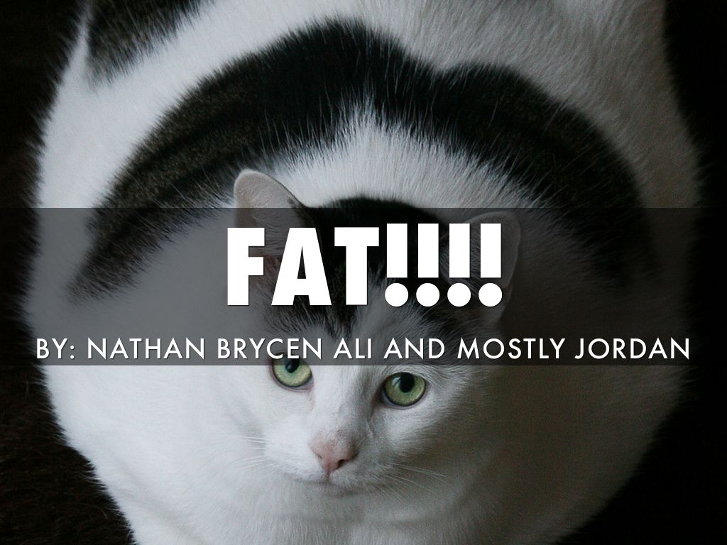 FAT! by Nathan Frank