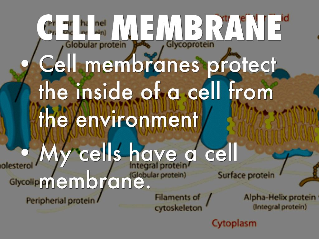 Vocabulary by Brody Berry