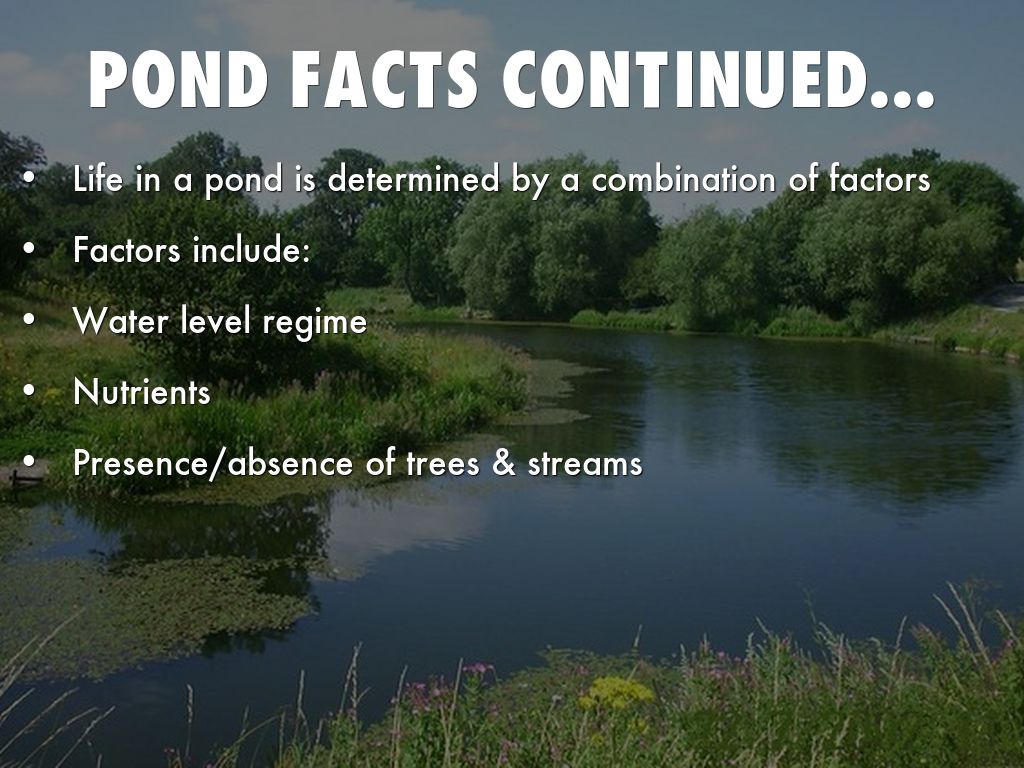 Structures of the Earths surface by mhilliker11