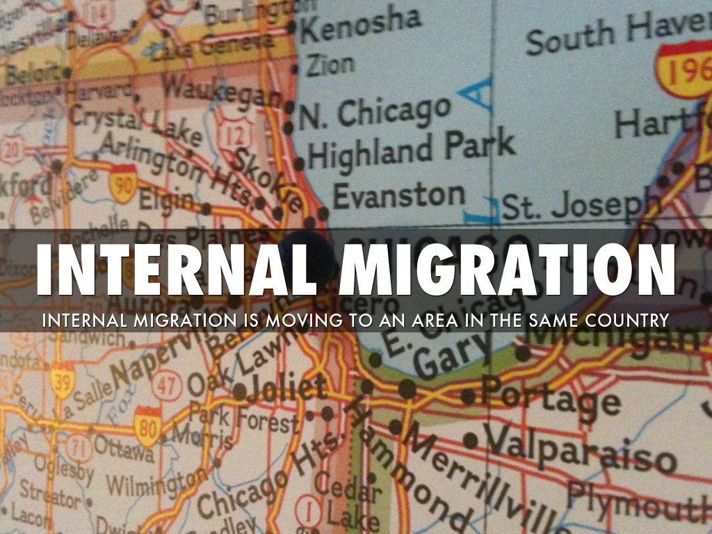 Migration by Isabella Polly