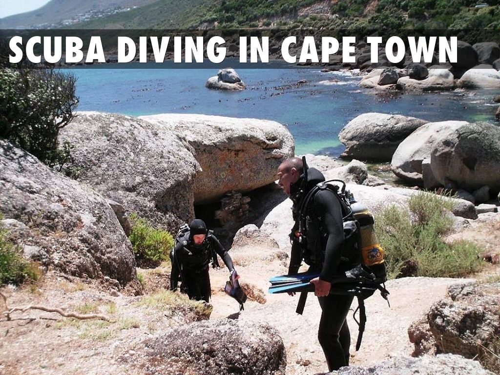 Scuba Diving In Cape Town by rowan