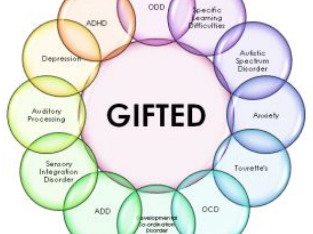 Improving Gifted Identification by Karen Kraeger