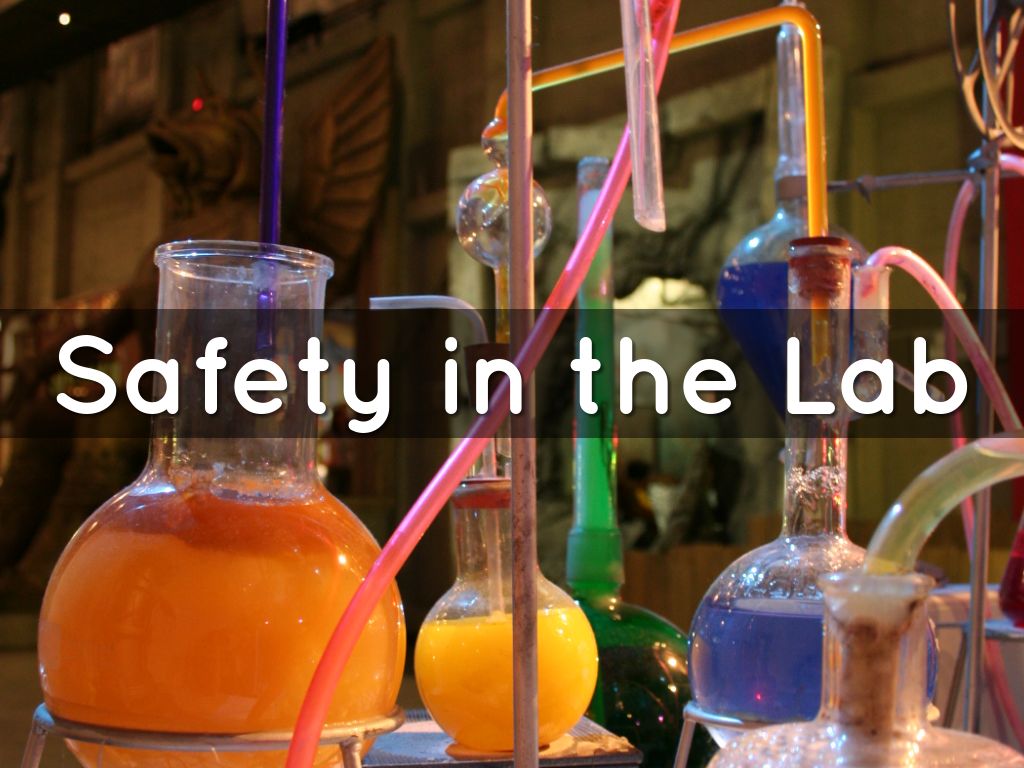 Safety in the Lab by Carolyn Hayden