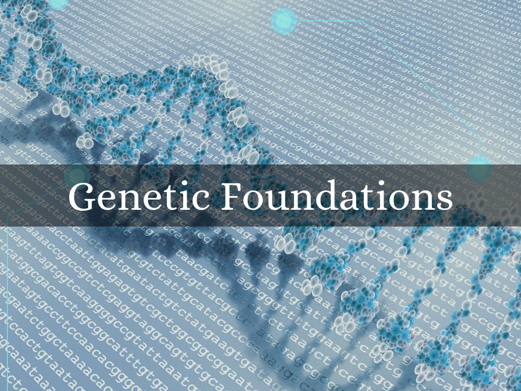 HGD Chapter 2 by Steph Moore