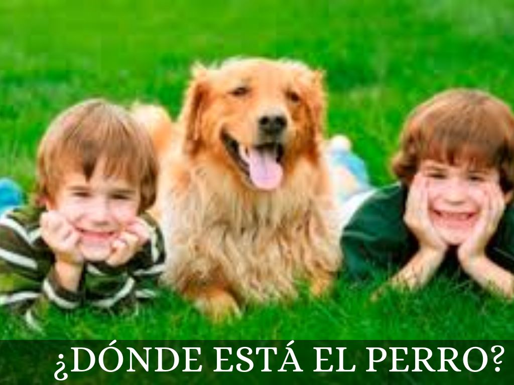 Preposiciones de Lugar by Sonia Castro