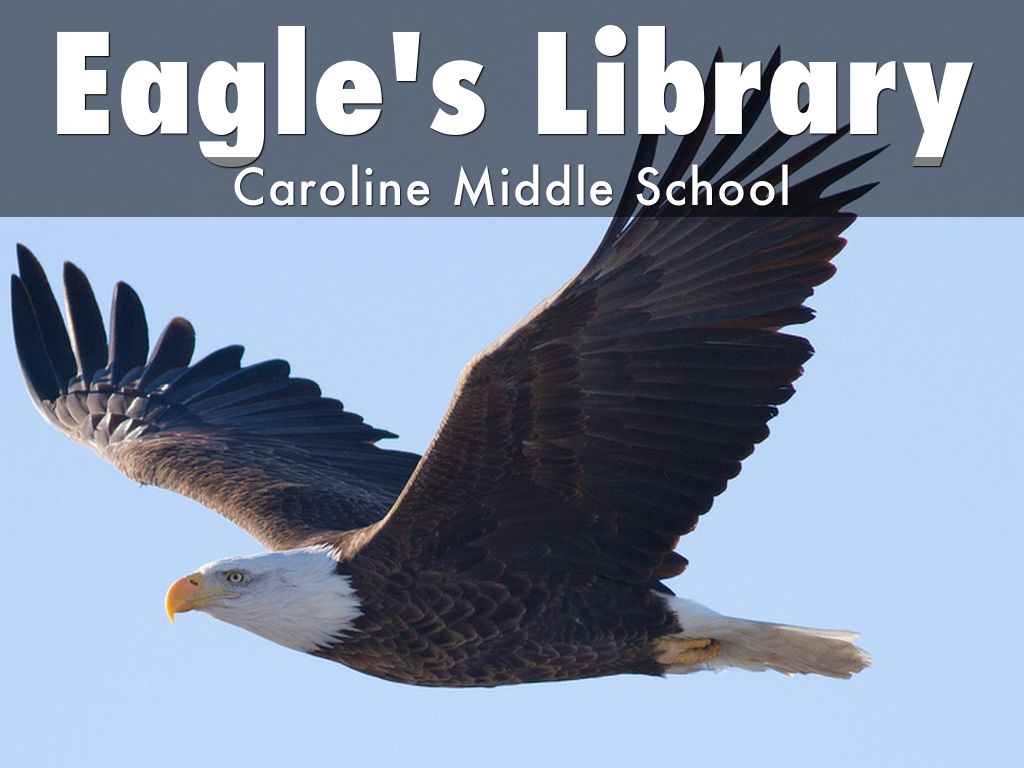 MINI CMS Library Orientation 2015 by tbarlow