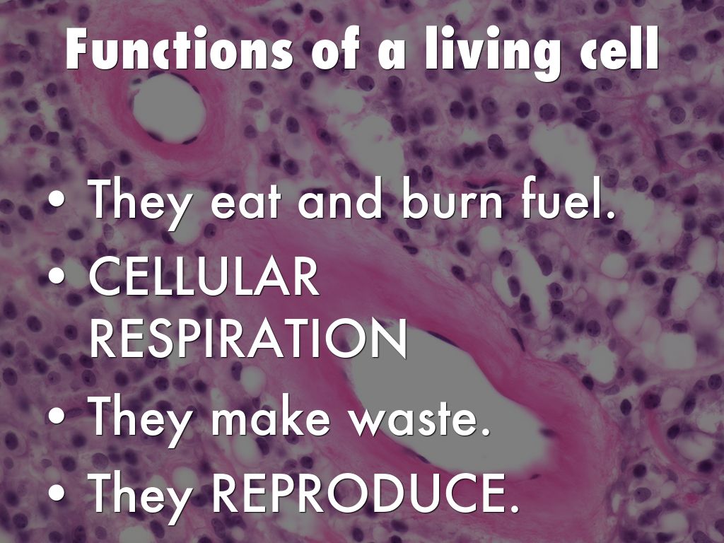 Living and Non-living Cells by Sarah Barela