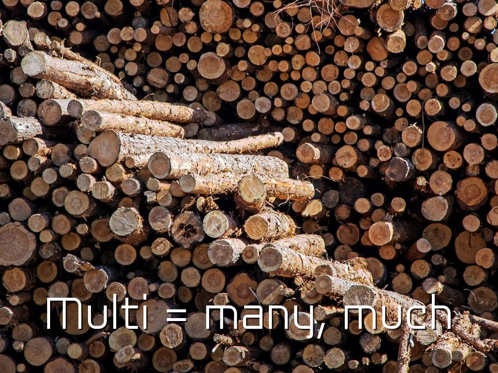 Greek And Latin Roots by P L