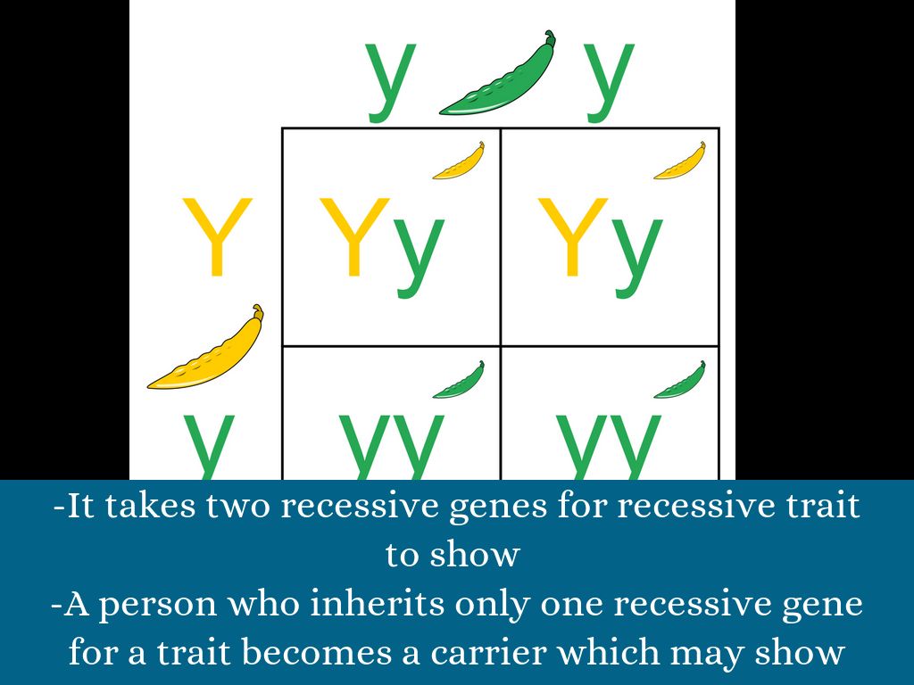 Copy of Conception by Abby Allen