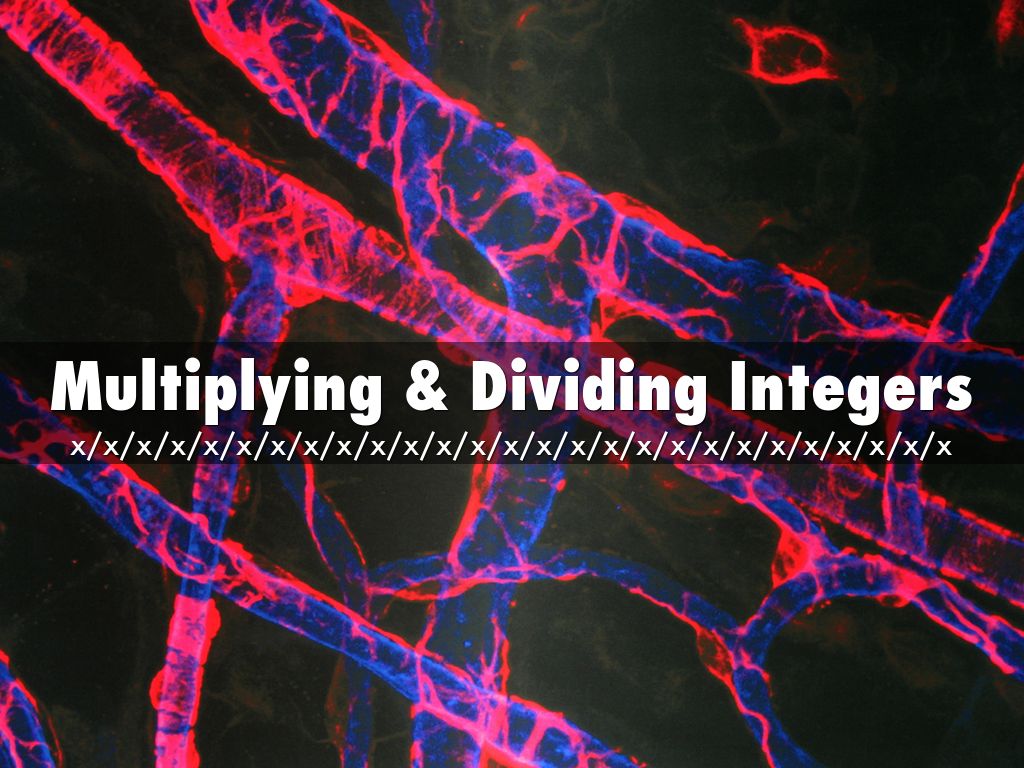 Multiplying & Dividing Integers by Ailee Reinhardt