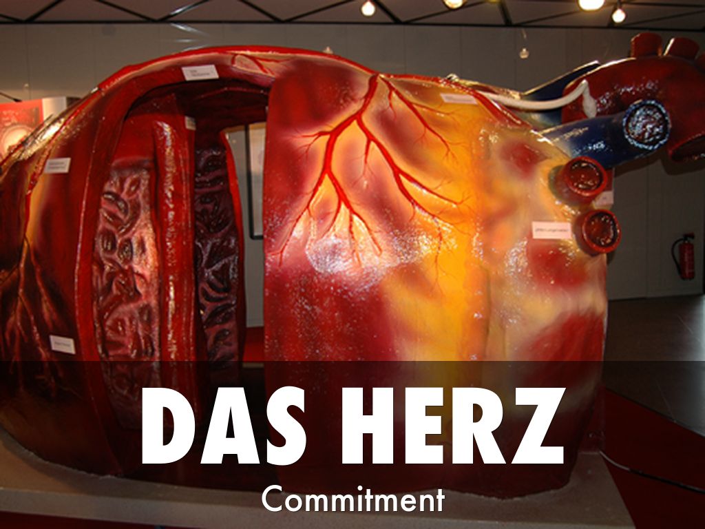 Starter KIT by Christine Neidhardt