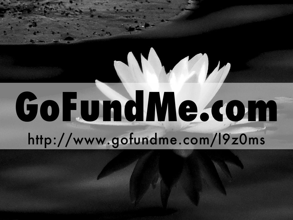 Copy of Helping Ashlyn Hendrickson by Denaelyn24