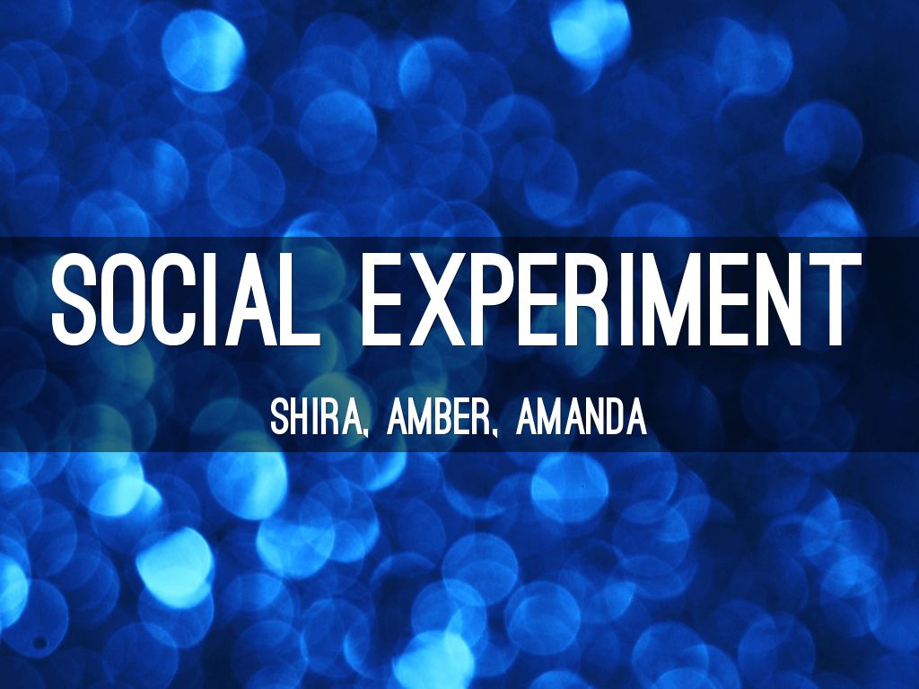 Social Experiment by Shira Murphy