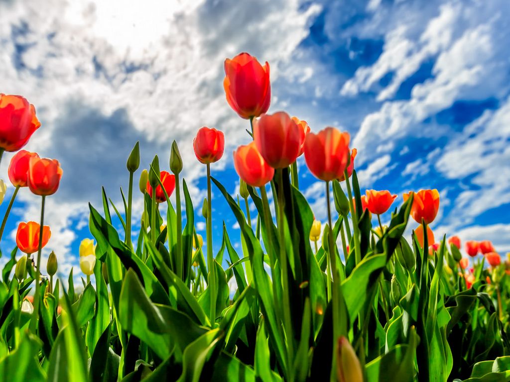 PAVASARIO POŽYMIAI by augustelina