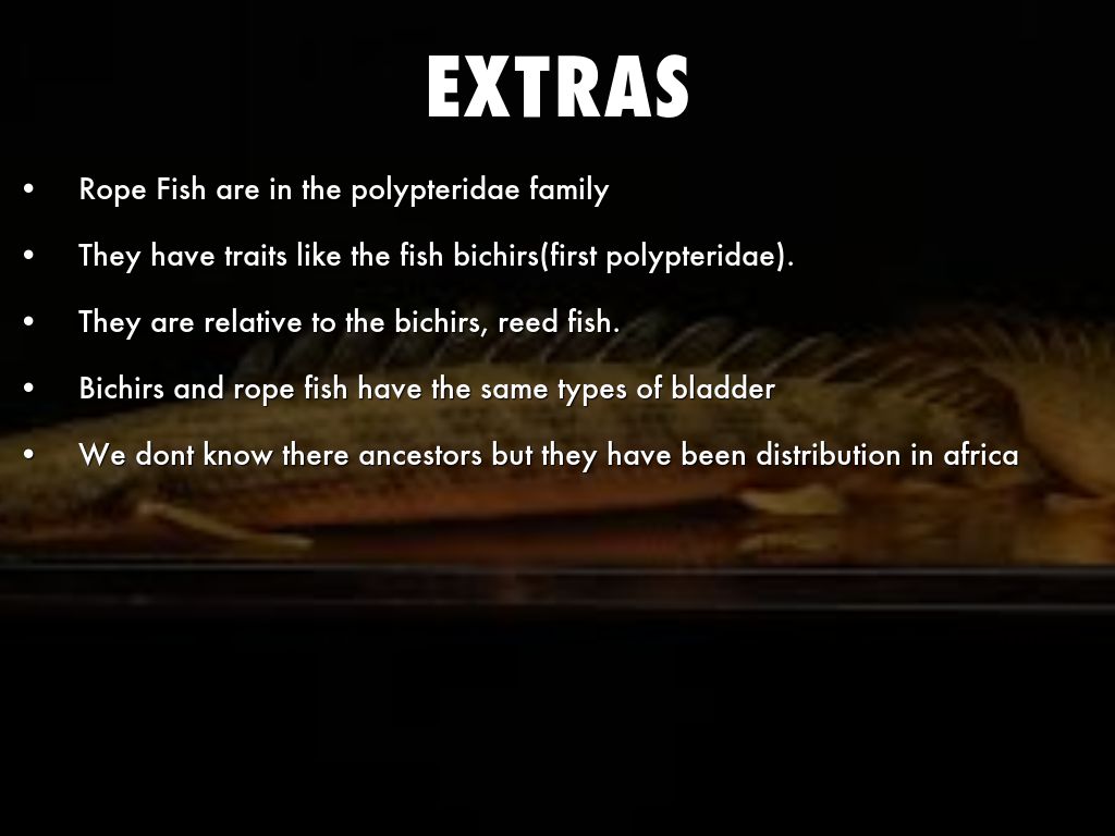 Rope Fish by alinthealien