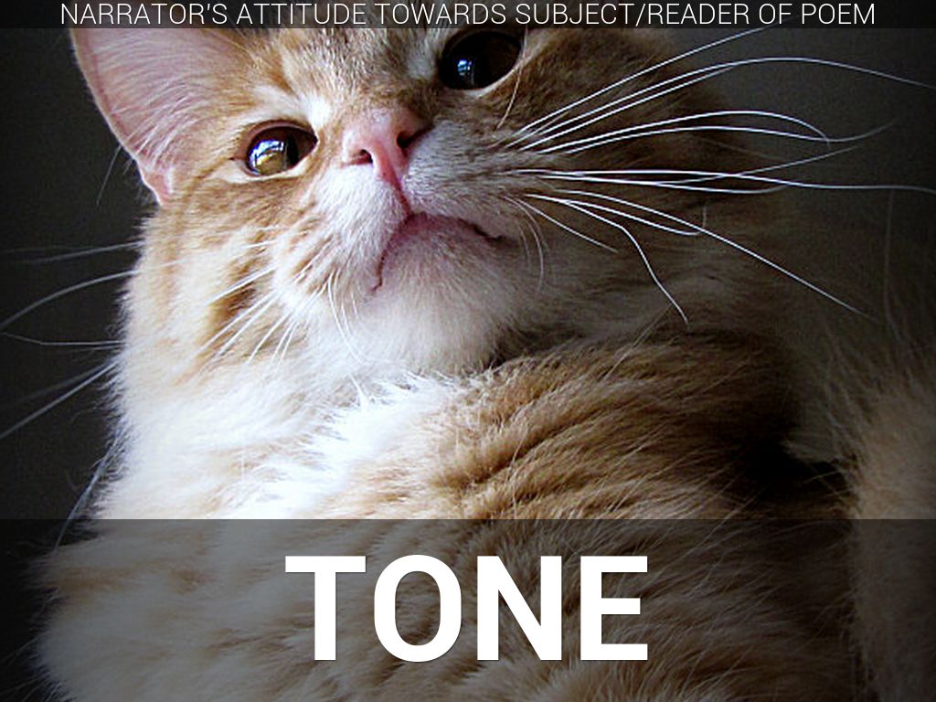 Poetry Terms by Jessica Vining