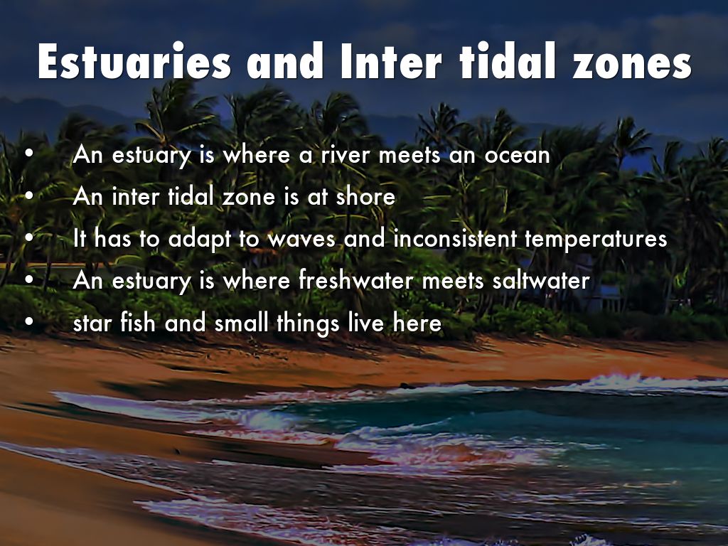 Aquatic Ecosystems by 85631