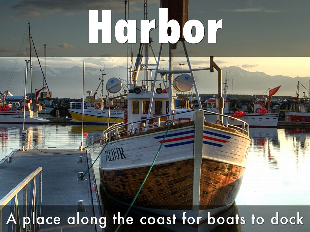 Chapter 6 Vocab by cgoodridge