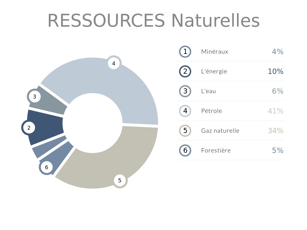 L'enquête by Shailyn Dixon