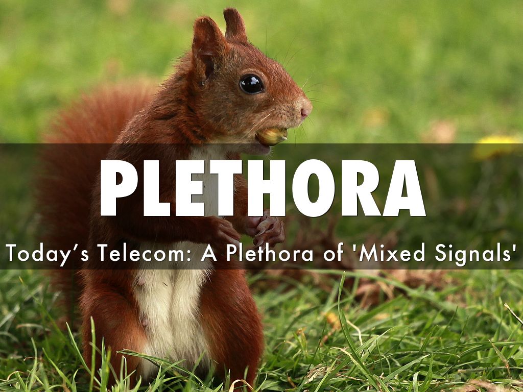 ENGLISH VOCABULARY by 1315042136