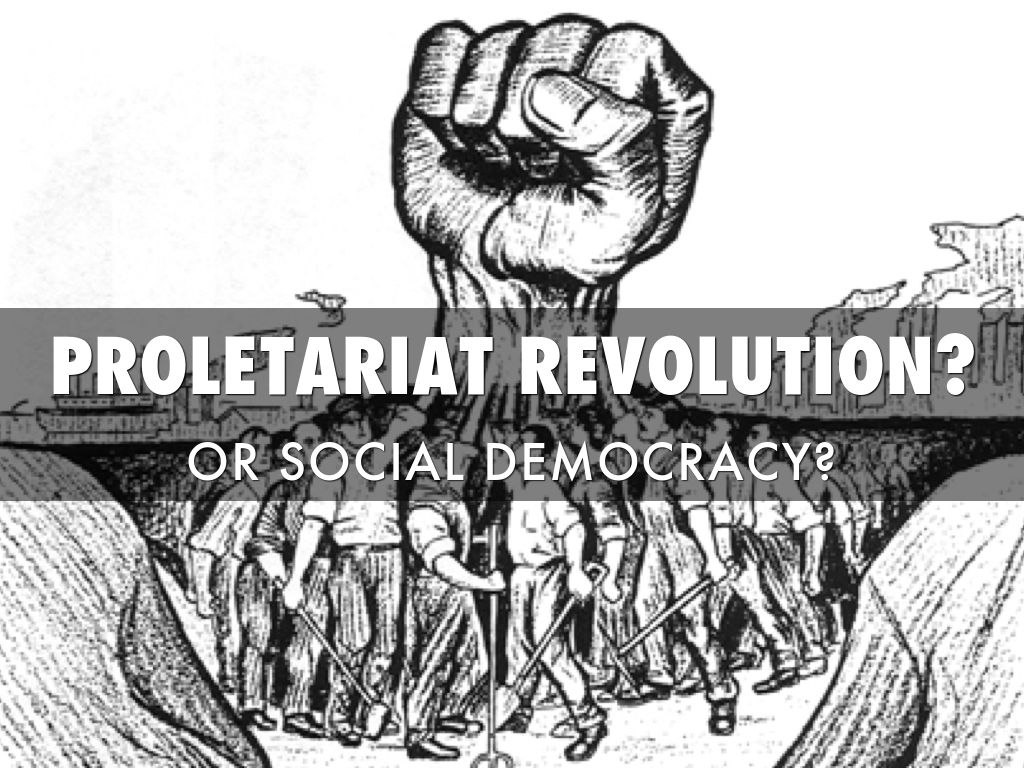 AP European Socialism by David Tucker