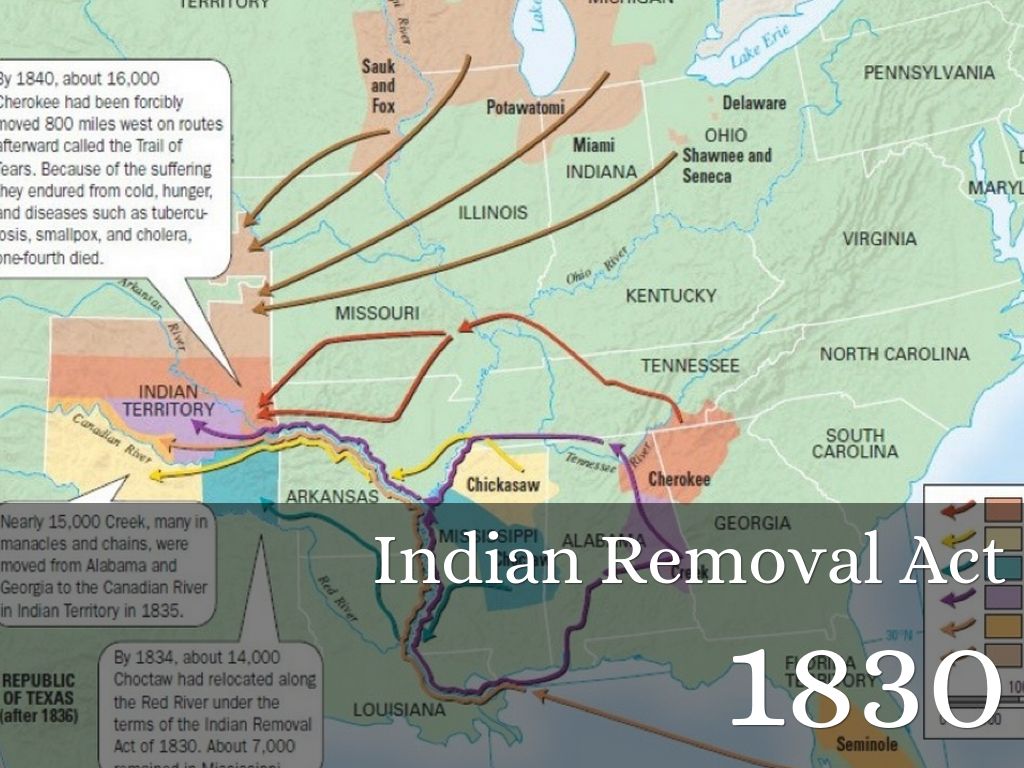 The Age Of Jackson (Borrowed) by Lauren Cuff