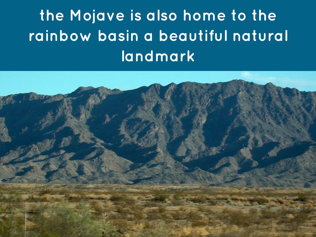 Mohave Biome by Joshua Osburn
