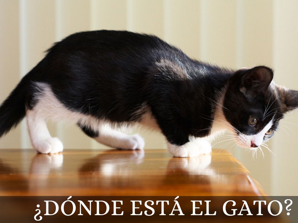 Preposiciones de Lugar by Sonia Castro