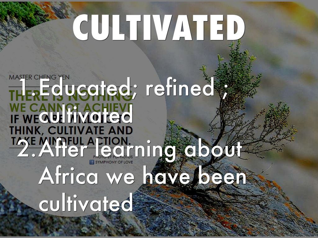 Vocabulary Project by Cyler Burch