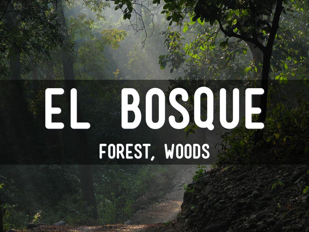 Spanish vocab 1 by Raven S