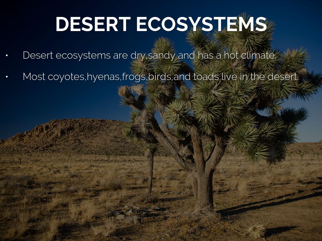 ecosystems by alayah.lawson6624